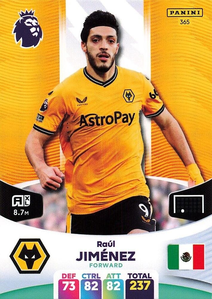 Raul Jimenez 2024